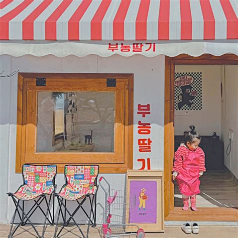 대구근교 딸기체험 팜크닉 영천 부농딸기 네이버 블로그