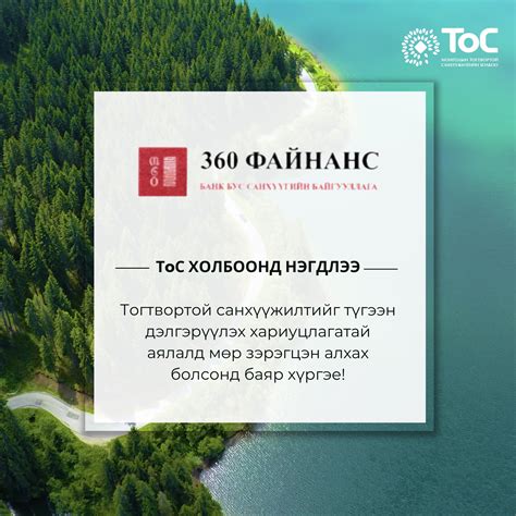 ТоС Холбоо Msfa