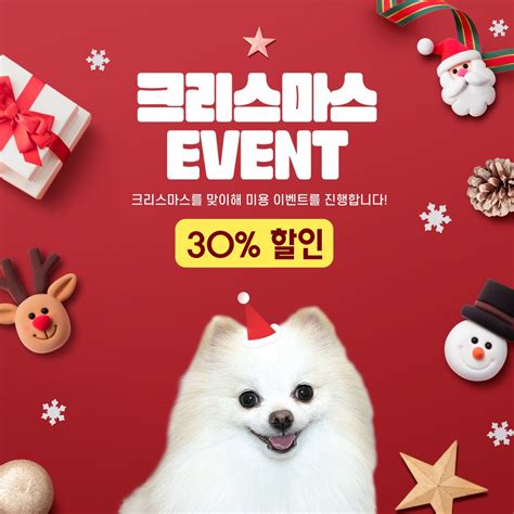 털로덮인친구들 펫 뷰티 광교점 이벤트 공지 News 털로덮인친구들