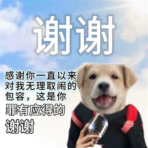 表情包｜咬牙切齿相关表情包表情包专辑 求表情网斗图从此不求人