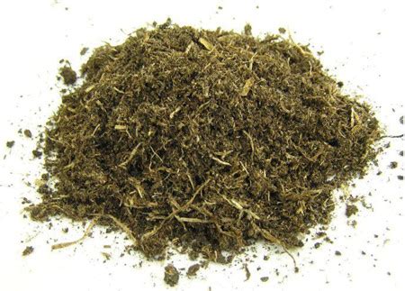草炭土是什么 美丽花