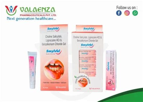 Mouth Ulcer Gel Packaging Type Tube Packaging Size 10 Gm At 55