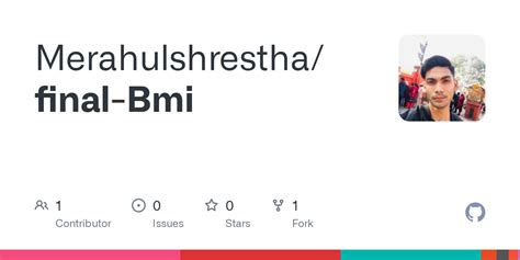 GitHub Merahulshrestha Final Bmi