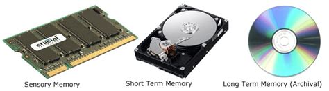 Where Are Your Memories Stored