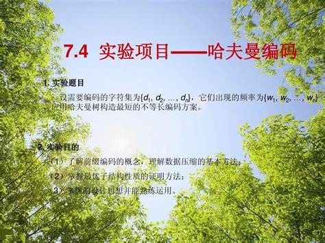 7 4 实验项目——哈夫曼编码 word文档在线阅读与下载 无忧文档