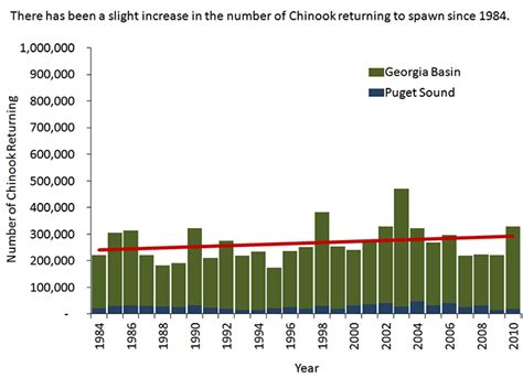 Chinook Salmon Health Of The Salish Sea Ecosystem Report Us Epa