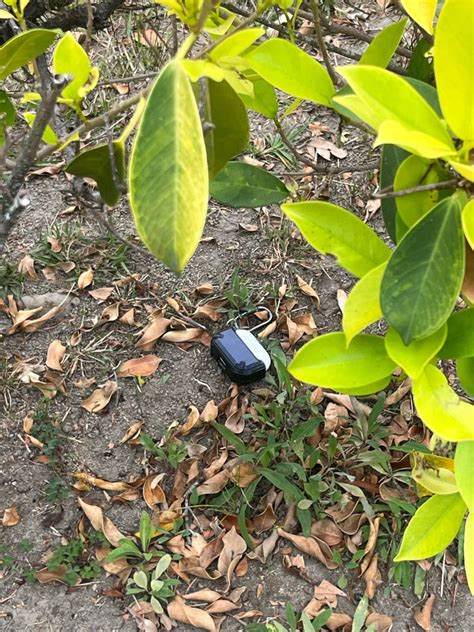 遺失airpods 義守大學板 Dcard