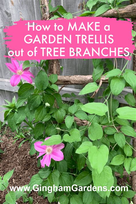 Easy DIY Garden Decor Using Tree Branches Gingham Gardens