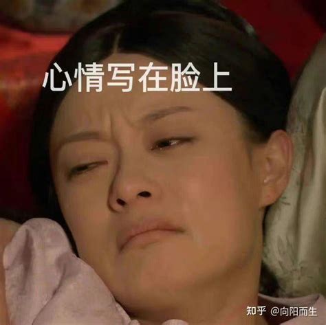 纪录又一次犯蠢被骗了的一天 知乎