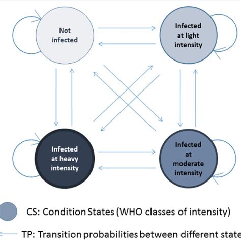 Transition Diagram Illustrating A Markov Transition Probability Matrix