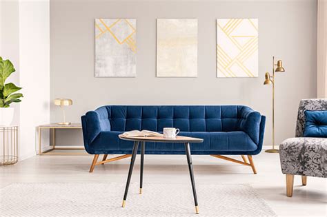 도 서와 현대 회화 골드 램프와 로얄 블루 Settee 밝은 거실 인테리어의 실제 사진에 카펫에 서 있는 찻잔 나무 커피 테이블