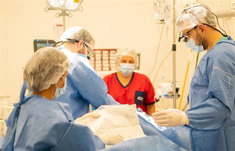 Ansl Se Realizó La Primera Ablación Multiorgánica Del Año En El