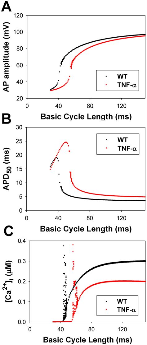 Simulated Frequency Dependence Of AP Amplitude Panel A AP Duration Download Scientific