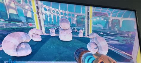 I Call It The Ringtail Ritual R Slimerancher