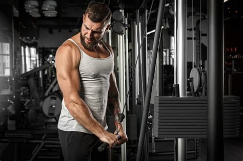 보디 빌딩 수염이 있는 남자 서 하 고가능 한 직선 팔 풀다운 에 체육관 미소 자랑 갈색 머리에 대한 스톡 사진 및 기타 이미지 갈색 머리 강사 건강한 생활방식