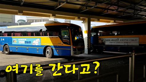 시골길 버스여행 여행의 기준이 무엇이여 Youtube