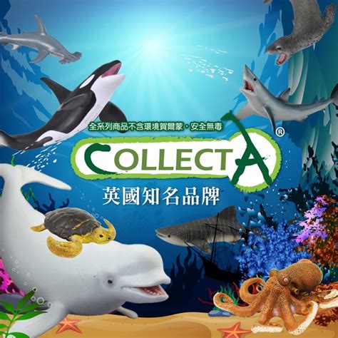 Mrwcollecta
