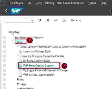 How To View Locked Users In SAP