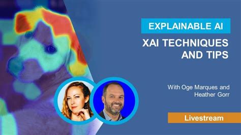 Oge Marques On Linkedin Explainable Ai With Matlab Techniques And Tricks