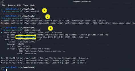Cómo instalar y configurar el escáner de vulnerabilidades Nessus en Kali Linux HowtoForge