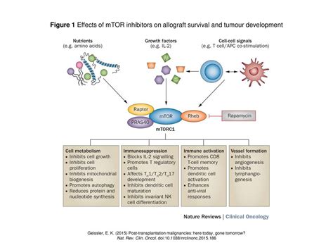 Nat Rev Clin Oncol Doi Nrclinonc Ppt Download
