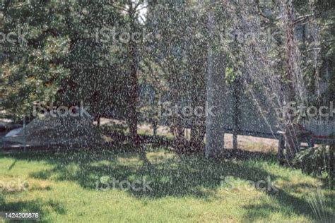 잔디에 물을 관개 시스템 잔디 스프링클러 는 자연 흐림 배경빛 야외 태양에서 여름 아침에 정원에서 신선한 녹색 잔디 위에 물을 스프레이 클로즈업 와이드 포맷 복사 공간 0