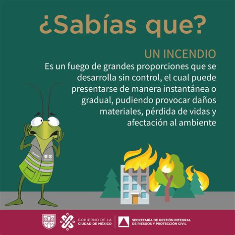 Los Incendios Urbanos 🌆y Forestales 🔥muchas Veces Son Causados Por