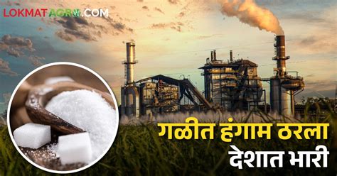 Sugarcane Crushing पावसाने गाळपाचा अंदाज चुकवला तरी यंदाचा गळीत हंगाम