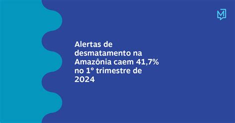 Alertas De Desmatamento Na Amazônia Caem 417 No 1º Trimestre De 2024