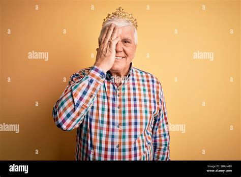 Senior Handsome Hoary Man Wearing Golden Crown Of King Over Isolated