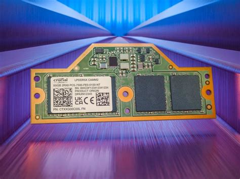 Lpcamm2 02 エルミタージュ秋葉原