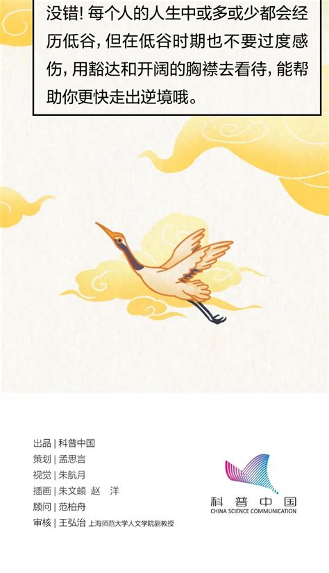 图文详情