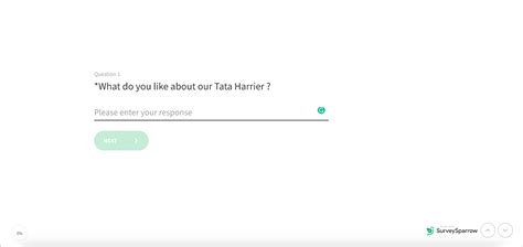 How To Use Global Variables SurveySparrow