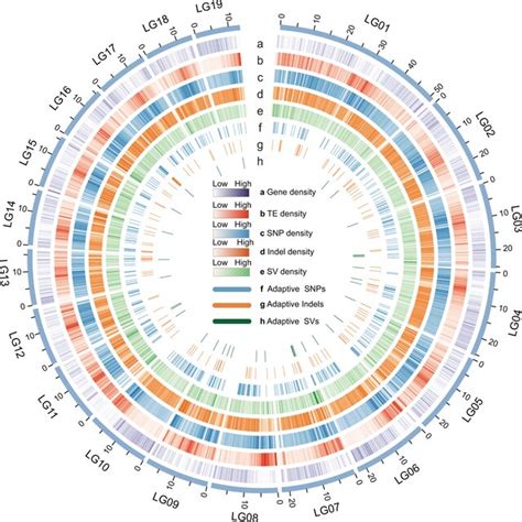 Pdf Genomic Insights Into Local Adaptation And Future Climate Induced Vulnerability Of A