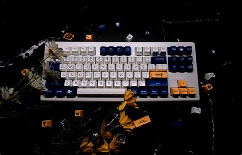 Clavier Mécanique Tkl Comparatif 2025 Test Avis Et Guide Dachat