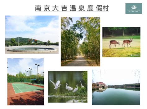 南京团建公司南京拓展训练南京拓展培训南京军训公司南京户外拓展