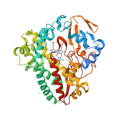 Rcsb Pdb 8spc Crystal Structure Of The Cytochrome P450 Enzyme Rufo