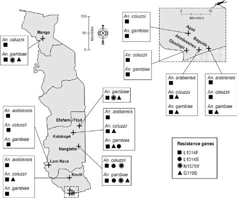 Distribution Of Resistance Genes In Sibling Species Of Anopheles