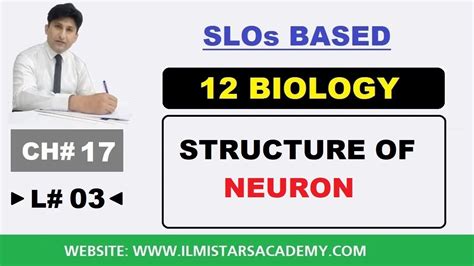 Structure Of Neuron Class Biology Chapter Federal Board KPK Board YouTube