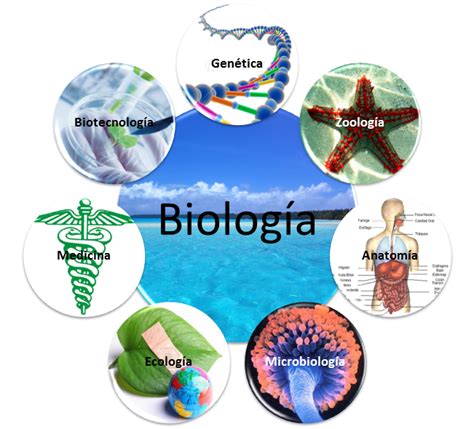 Aprende de Biología con Soranger Las principales disciplinas de la