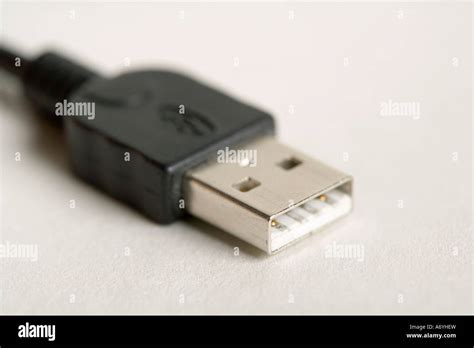 A USB Connector Cable Stock Photo Alamy