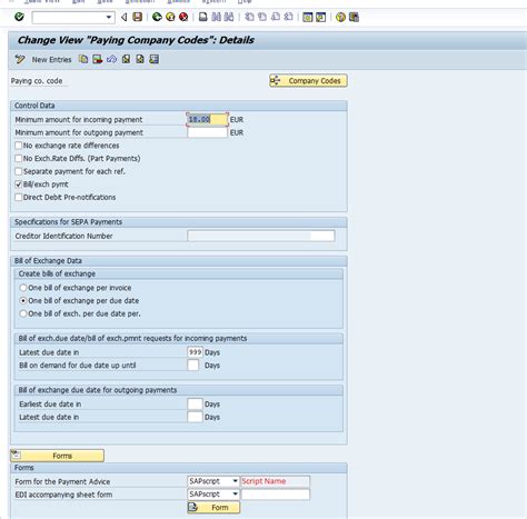 Payment Advice Configuration And Activation For Different Kinds Of Sap