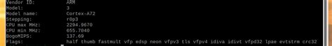 Raspberry Pi 4 Overclocking Raspberry Pi [dev Edition]