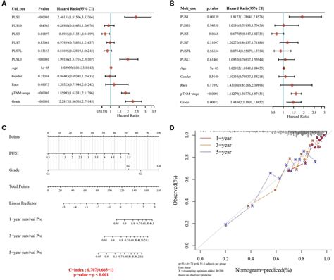 Construction Of A Predictive Nomogram A B Univariate A And