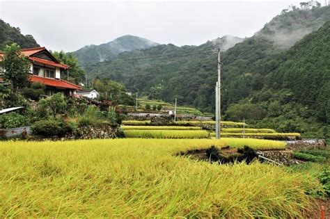 空谷の棚田 広島県安芸太田町 修行僧が行く