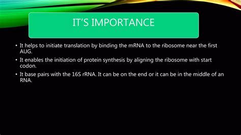 Significance Of Shine Dalgarno Sequence Ppt