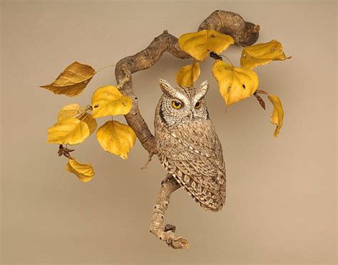 Lona Hymas Smith Truly An Inspiration Wood Carving Art Bird