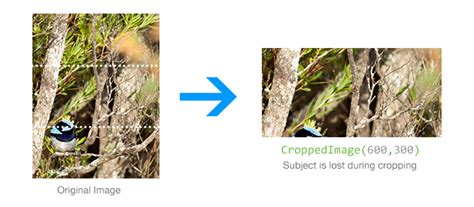 Focuspoint Smarter Image Cropping For Silverstripe Silverstripe Cms