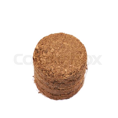 Compressed Compost Tablet Isolated Stock Image Colourbox