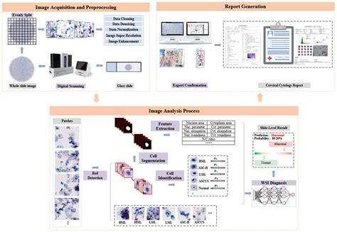 Peng Jiangs Homepage